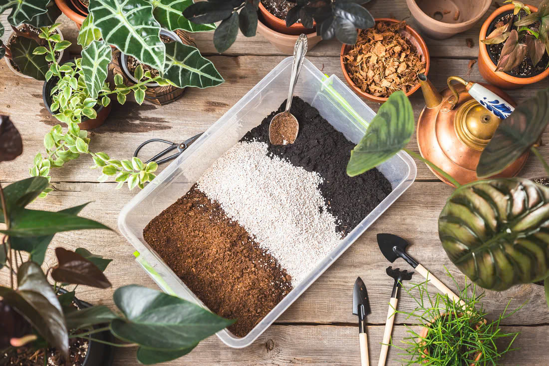 Soil Mixing Guide: 5 Essential Steps to Create the perfect soil mix