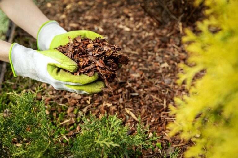 Types of Mulch for Vegetable Gardens: Pros, Cons & How to Use Each One ...